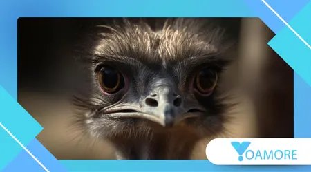 The Great Emu War: When Australia Lost to Birds